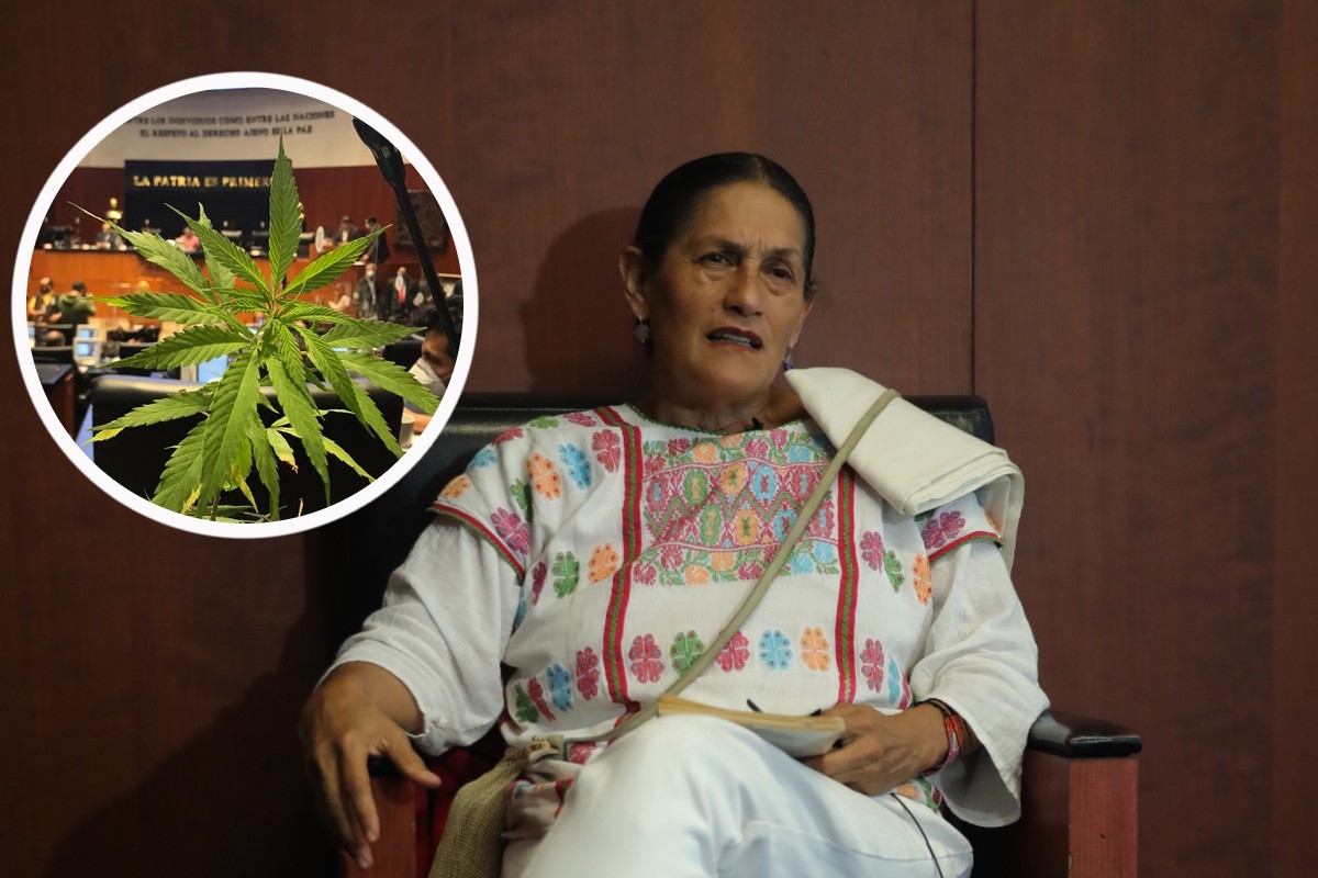 Jesusa Rodríguez lleva marihuana al Senado; es un tema prioritario para ...