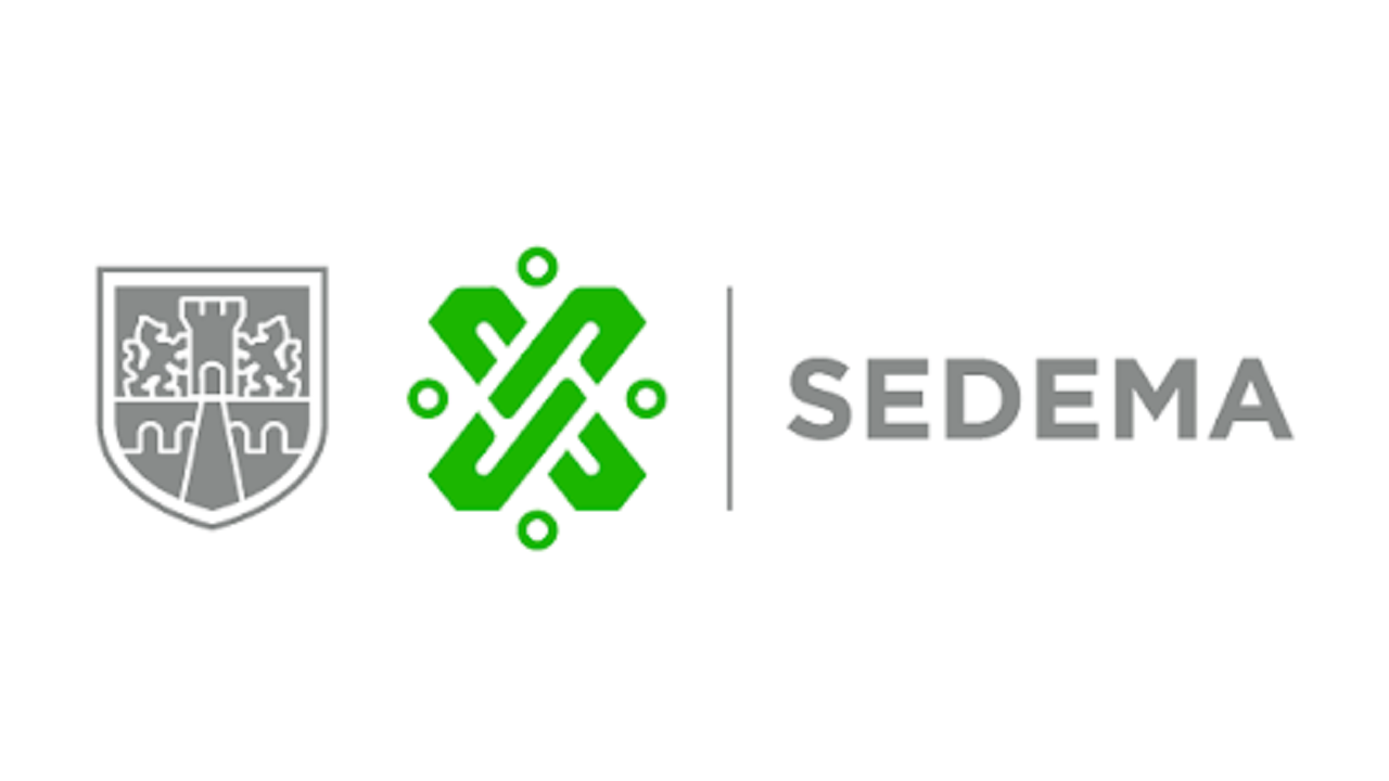 Sedema pide a los capitalinos verificar su auto en tiempo y forma este ...